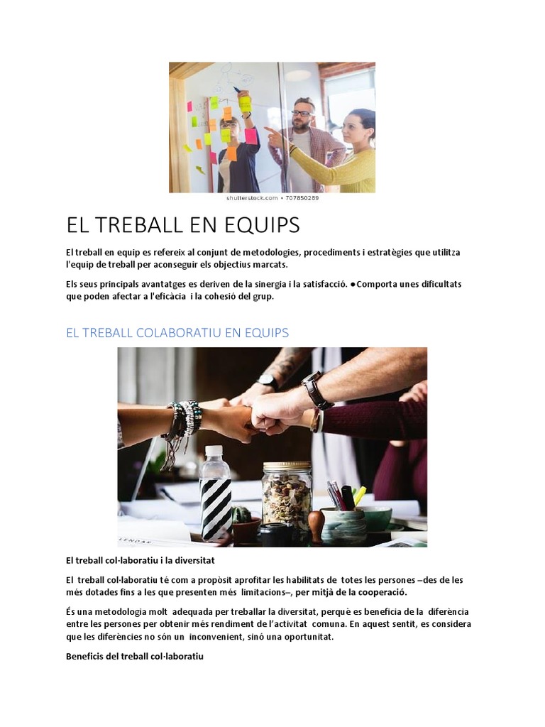 El Treball en Equips | PDF