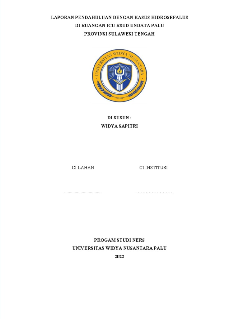 Laporan Pendahuluan Dengan Kasus Hidrosefalus Pingki (201901069) | PDF