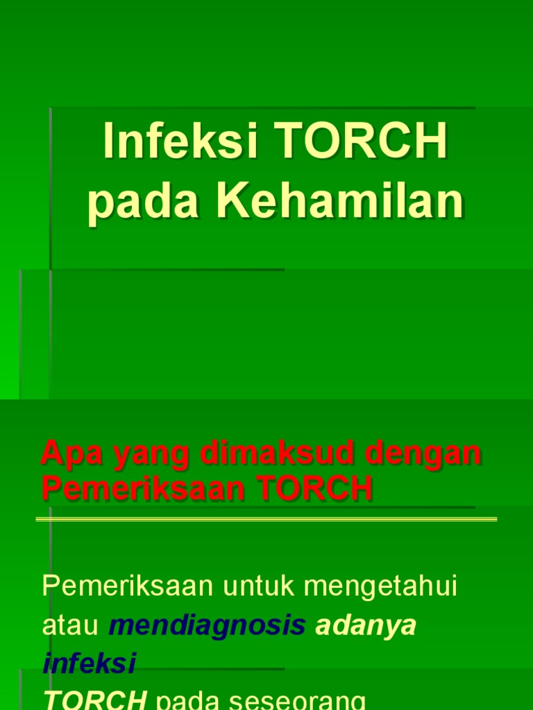 Infeksi TORCH Pada Kehamilan | PDF
