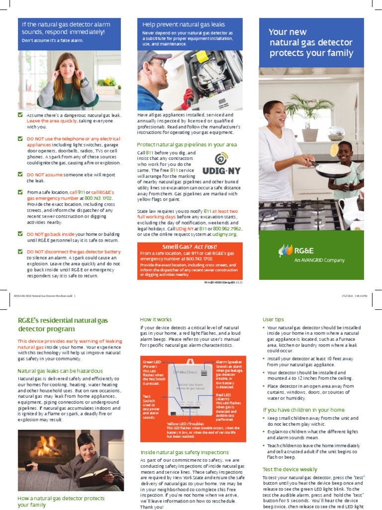 RGE Natural Gas Detector Brochure | PDF | Natural Gas | Odor