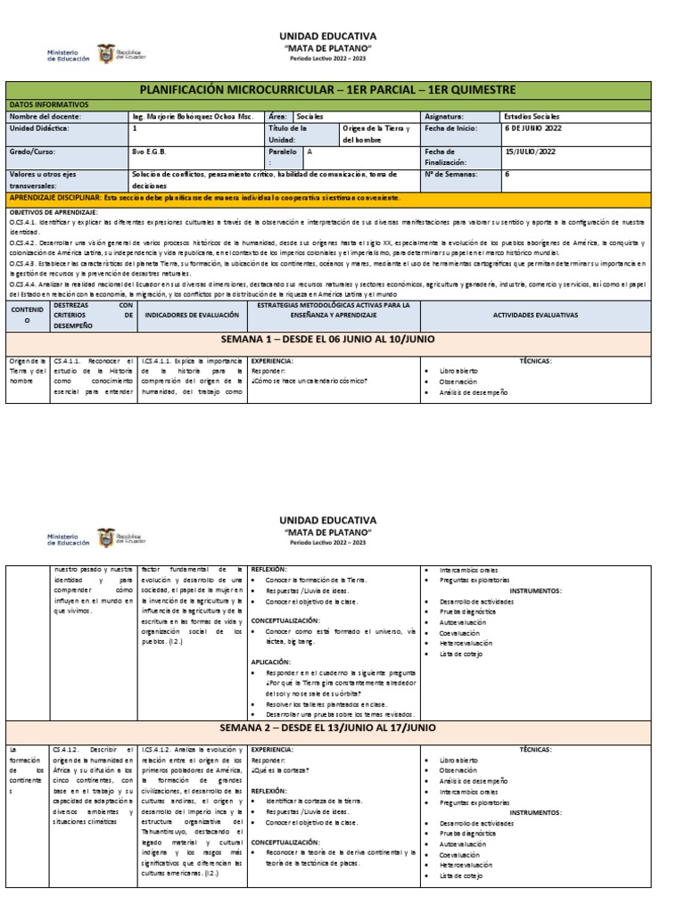 Planificaciòn Octavo | PDF | Américas | Evaluación