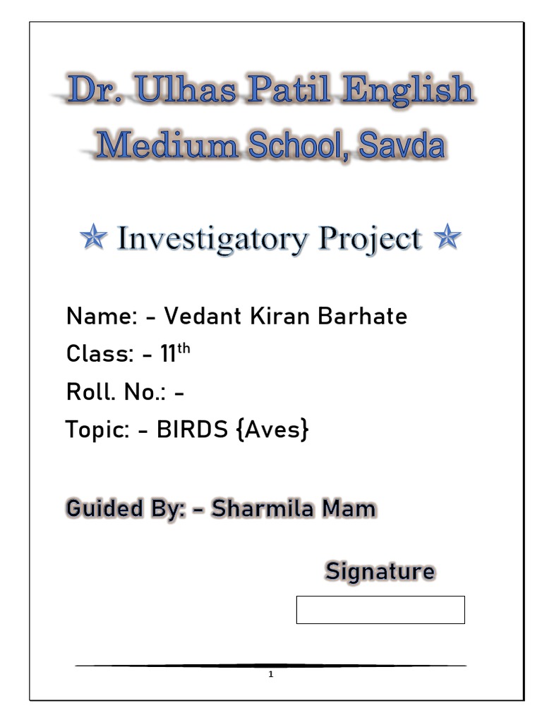 Birds Project Overview and Analysis | PDF | Birds | Dinosaurs