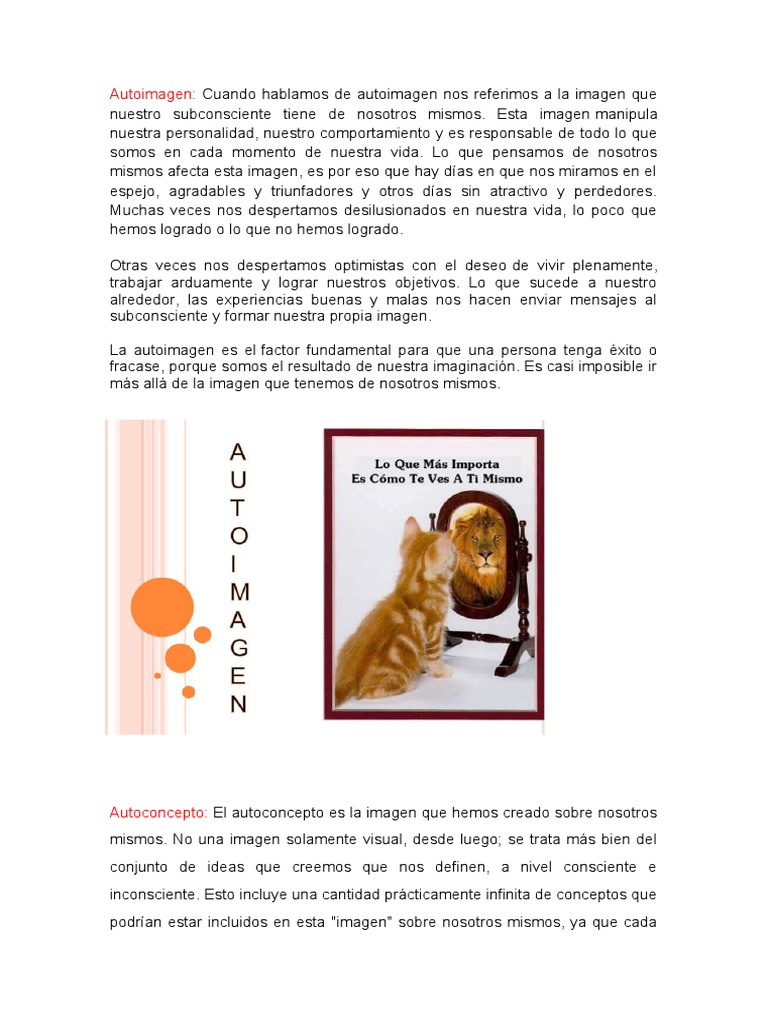 Autoimagen | PDF | Autoestima | Las emociones