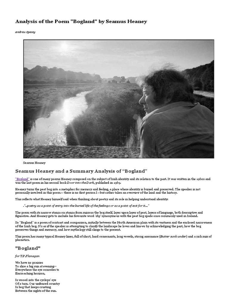 Analysis of The Poem Bogland by Seamus Heaney - Owlcation | PDF ...