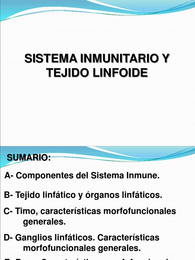 El sistema inmunitario y el tejido linfático: estructuras, células y órganos clave | PDF ...