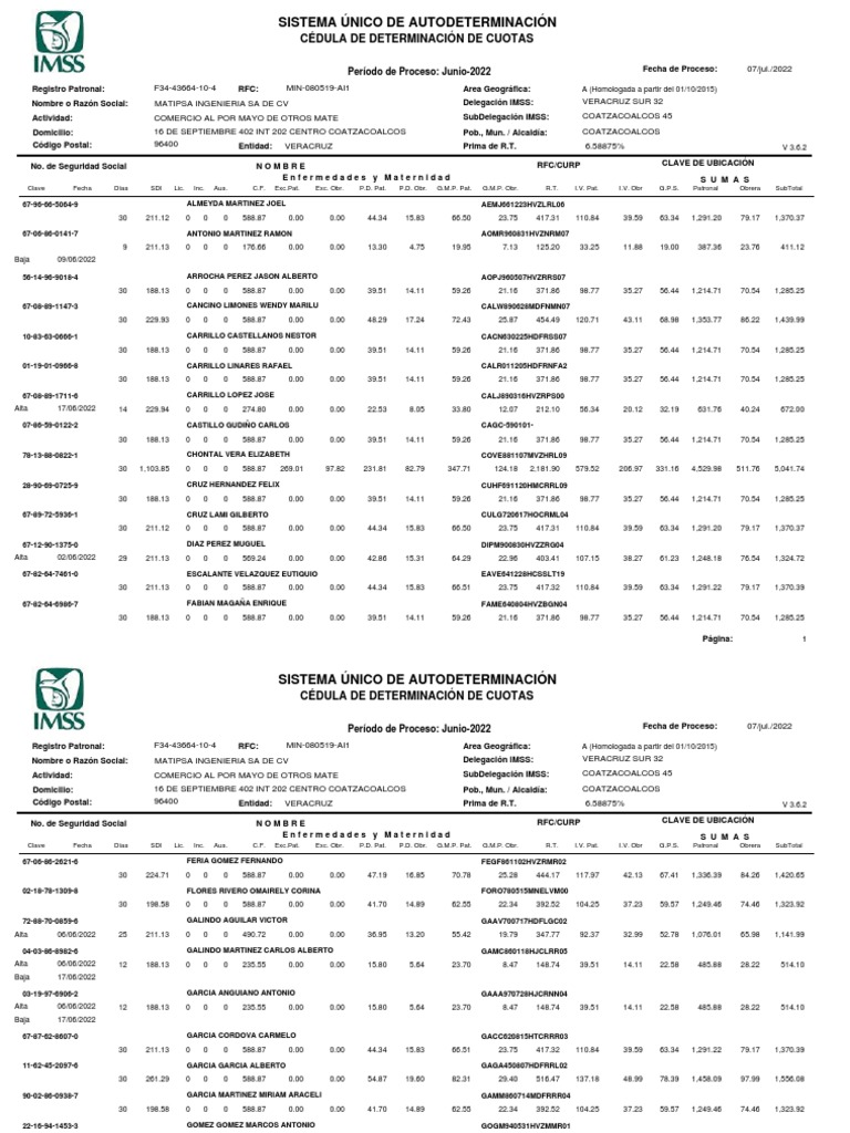 Cedula de Autodeterminacion Imss 06-2022 Mating | PDF | Economias