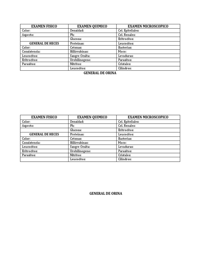 Formato Orina Pdf