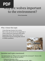 Case Study - The Wolves of Isle Royale | PDF | Predation | Island