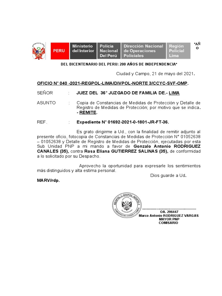 Oficio Medidas de Proteccion | PDF