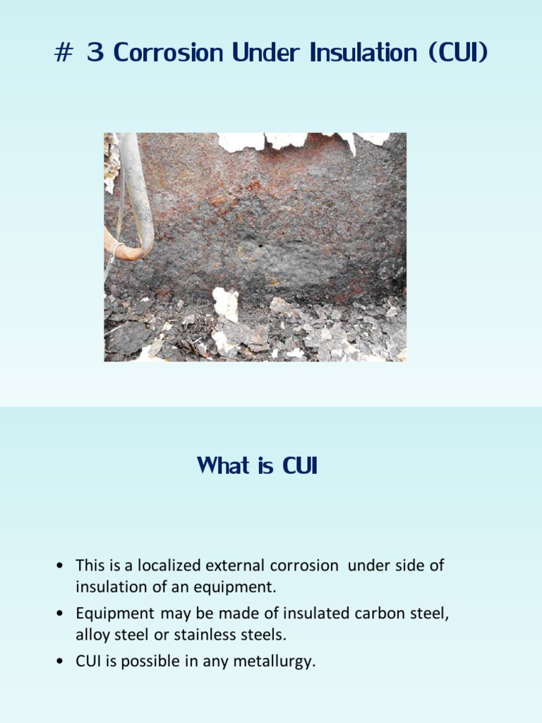 Corrosion Under Insulation In Process Industry Pdf Corrosion