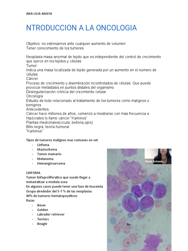 Introducción A La Oncologia | PDF | Cáncer | Neoplasias
