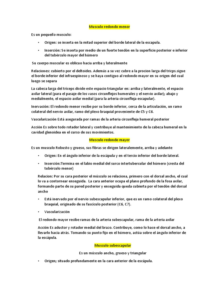 Anatomía y Función de los Redondos | PDF | Anatomía humana | Sistema ...
