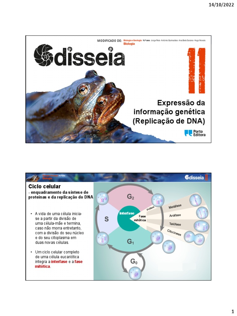 Tipos e Mecanismos da Replicação do DNA | PDF | Replicação de DNA ...