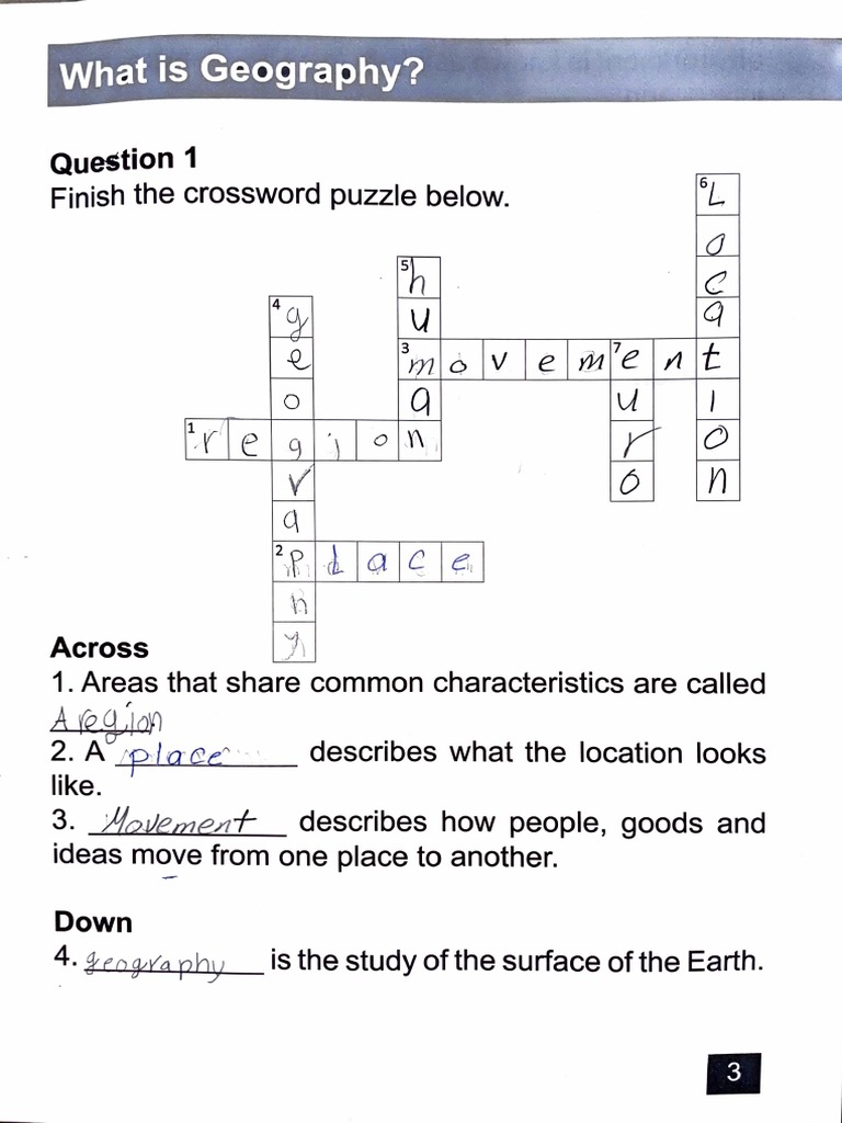 Social Studies Homeeork | PDF