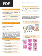 Como É Realizada A Pesquisa de Esquizocitos e Como... | PDF | Doenças e ...