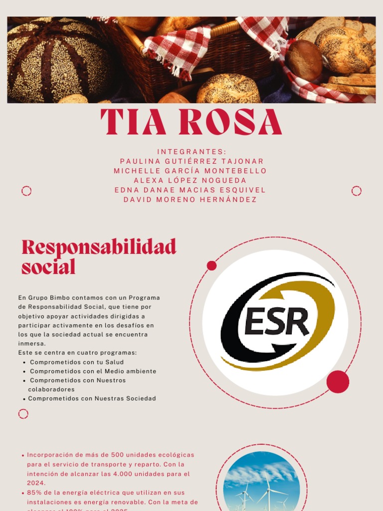 Responsabilidad Social | PDF