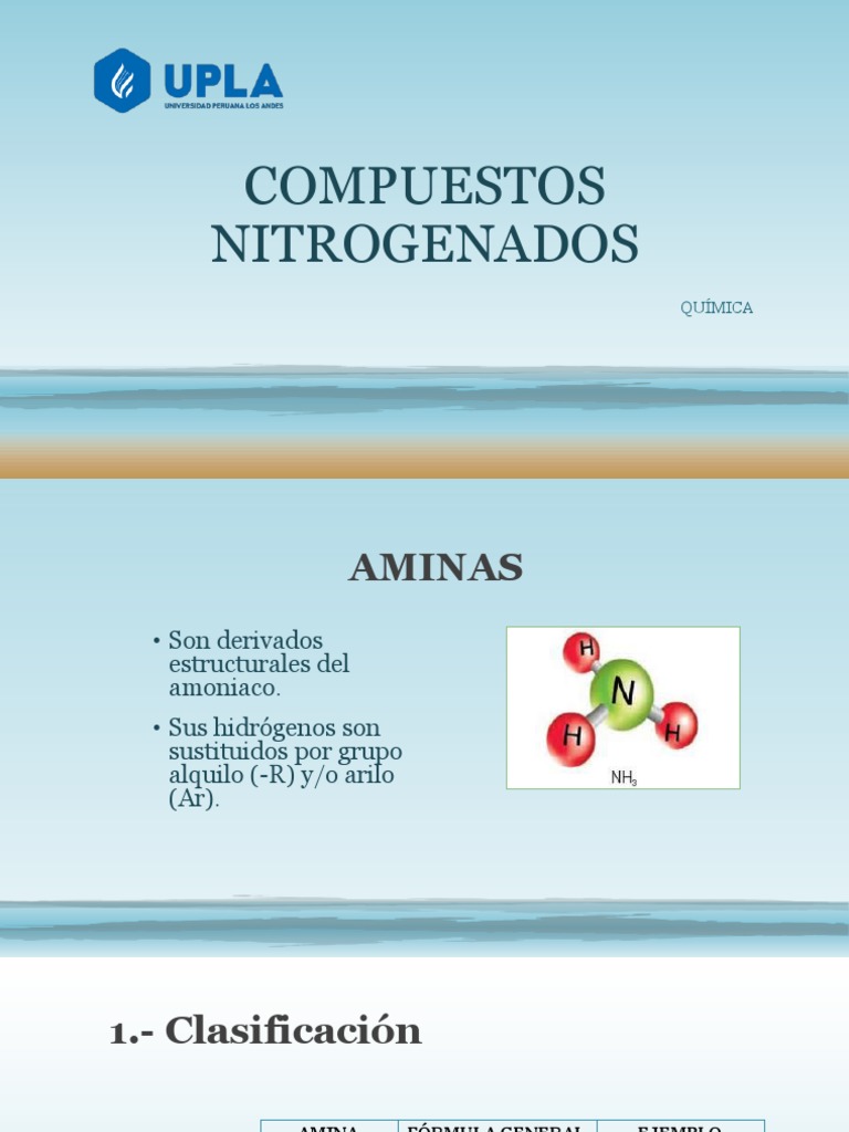 Compuestos Nitrogenados: Aminas, Amidas y Nitrilos | PDF | Amida | Amina