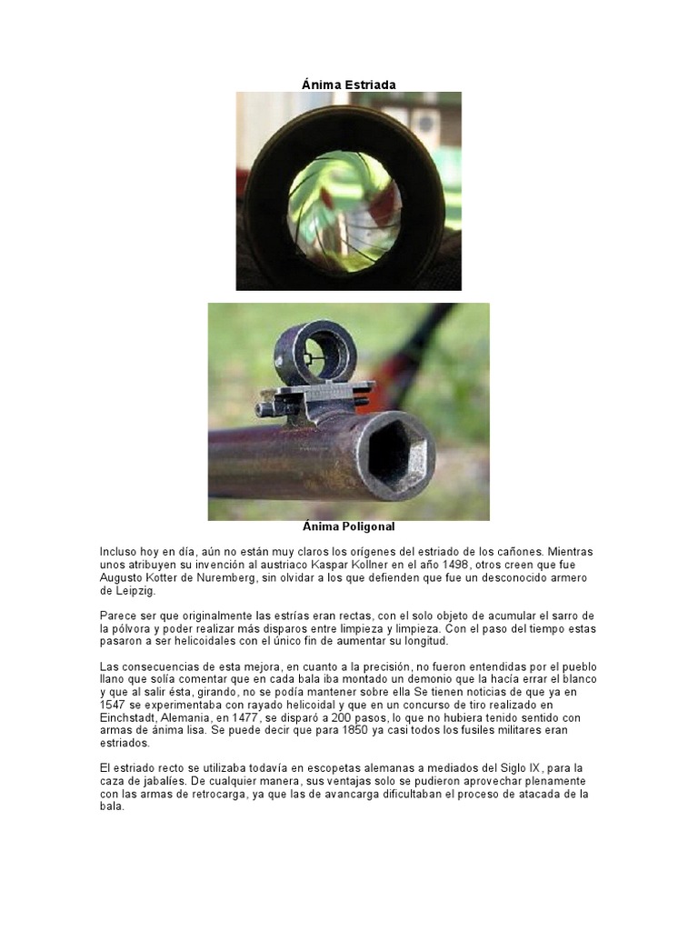 Ánimas de cañón | PDF | Munición | Rifle