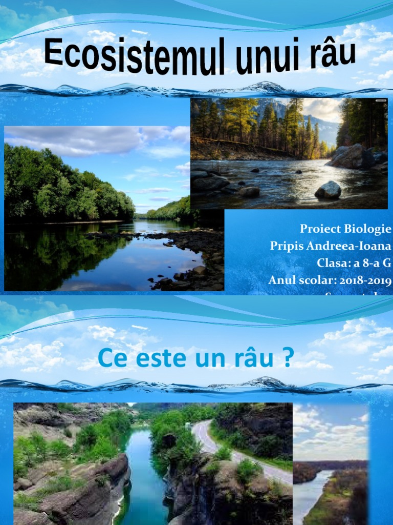Ecosistemul Unui Rau | PDF