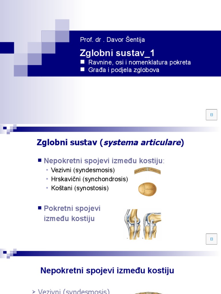 Zglobovi 1 | PDF