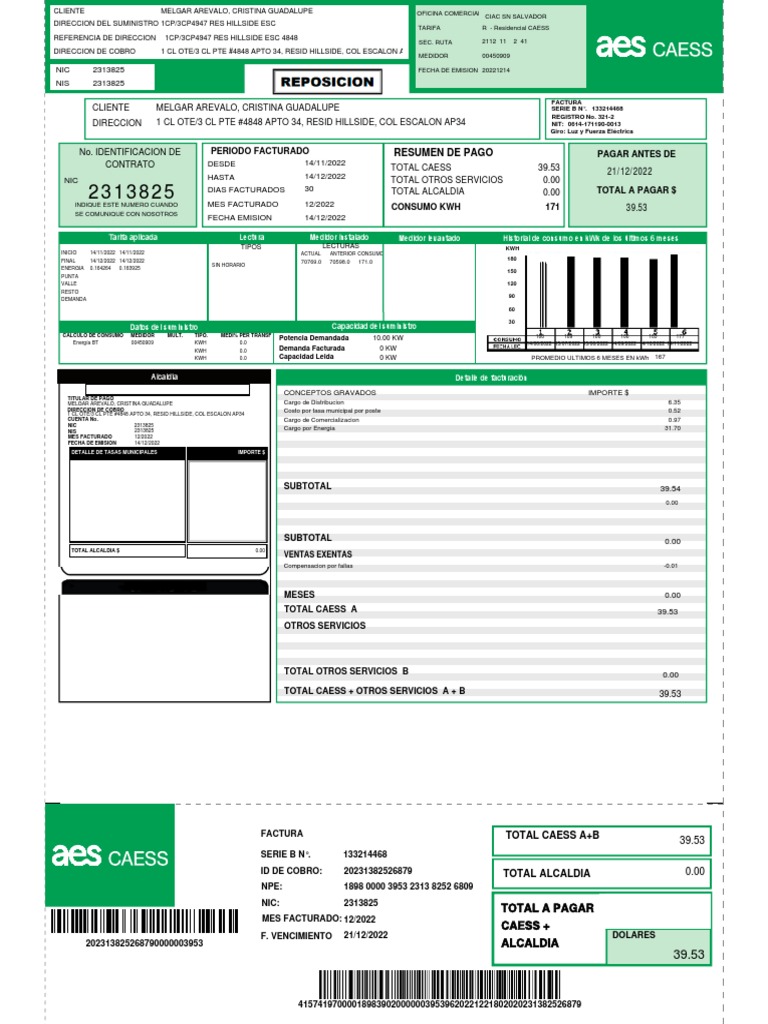 Recibo Caess | PDF | Poder (Física) | Cantidades fisicas