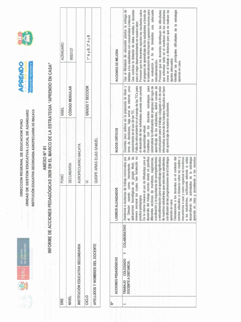 Informe Anual de Tutoría - Anexo 1 y 2 - 2020 | PDF