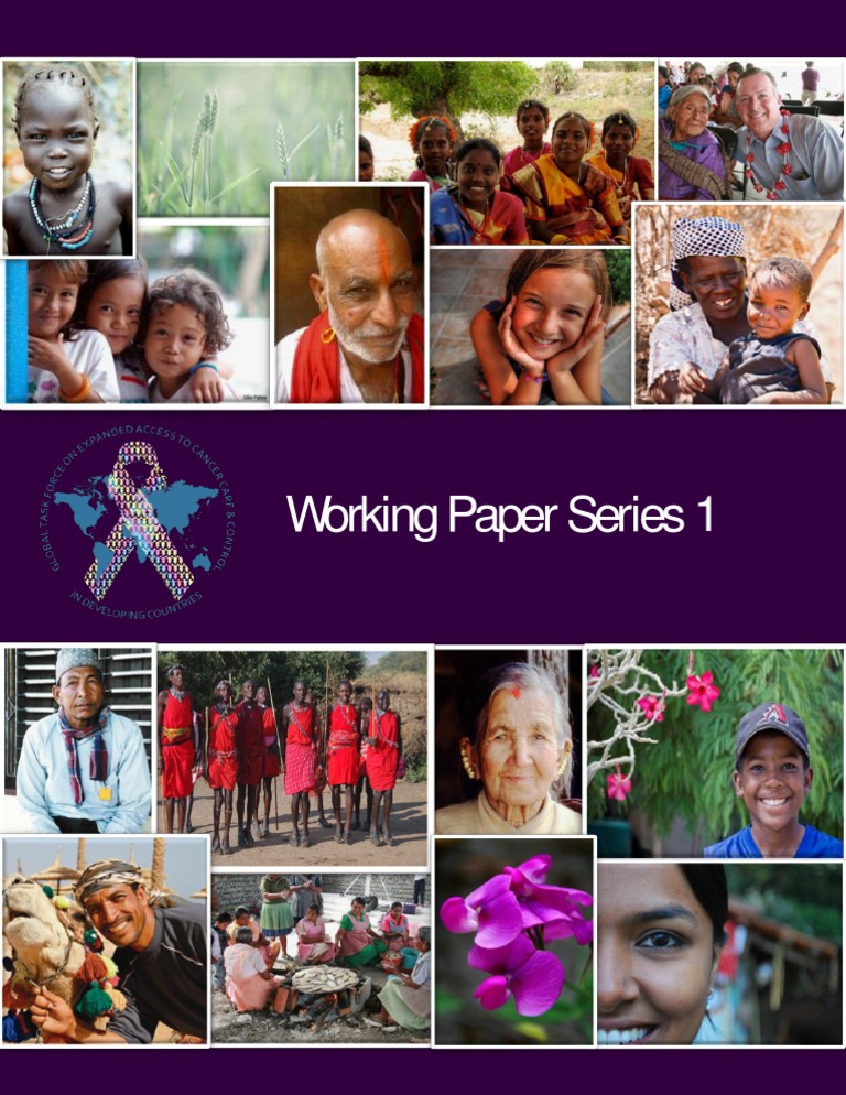 Working Paper Series 1 | PDF