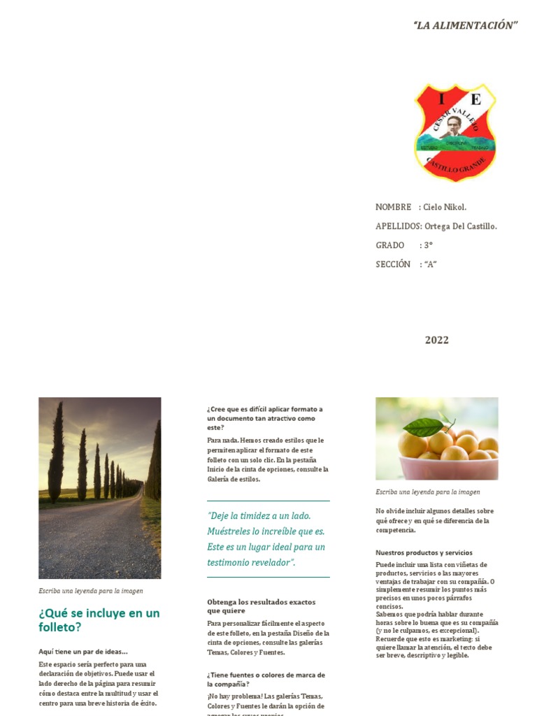 Modelo de Triptico 2 | PDF