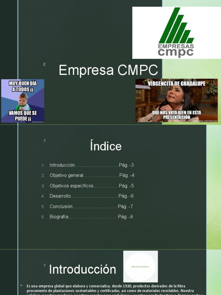 Empresa CMPC | Descargar gratis PDF | Business | Economias