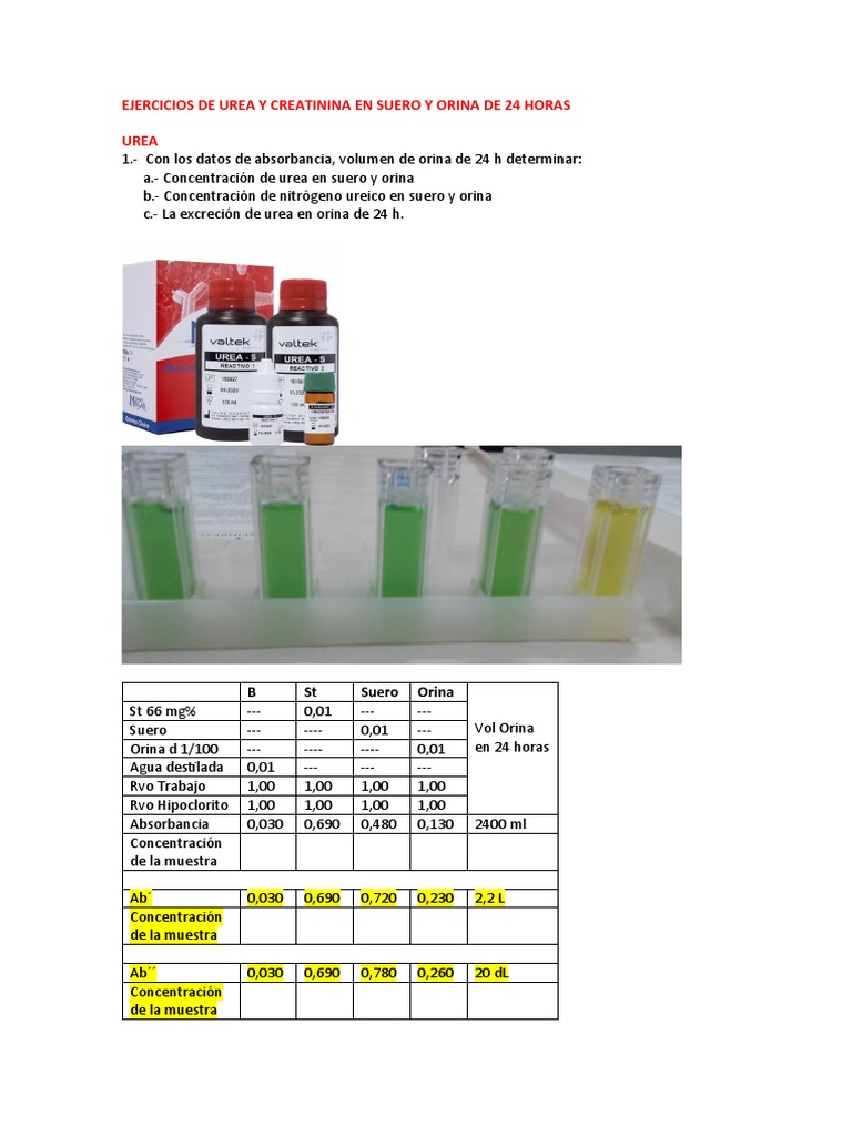 Determinación de Urea y Creatinina | PDF
