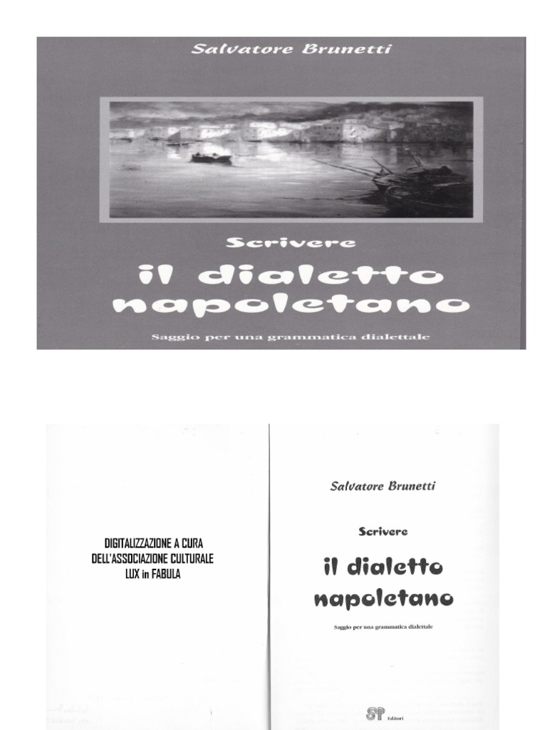 Scrivere Il Dialetto Napoletano (Salvatore Brunetti) | PDF