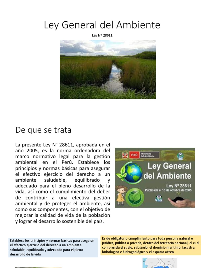 Ley 28611 | PDF