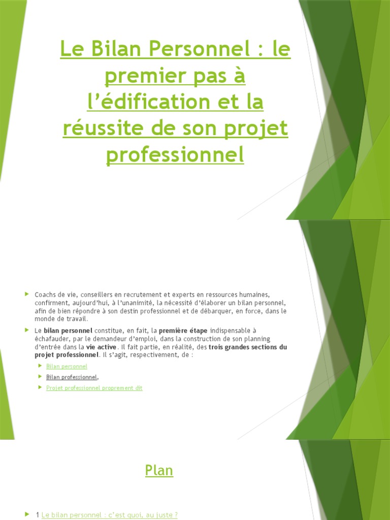 Bilan Personnel : Clé de Réussite Pro | PDF | Introversion et ...