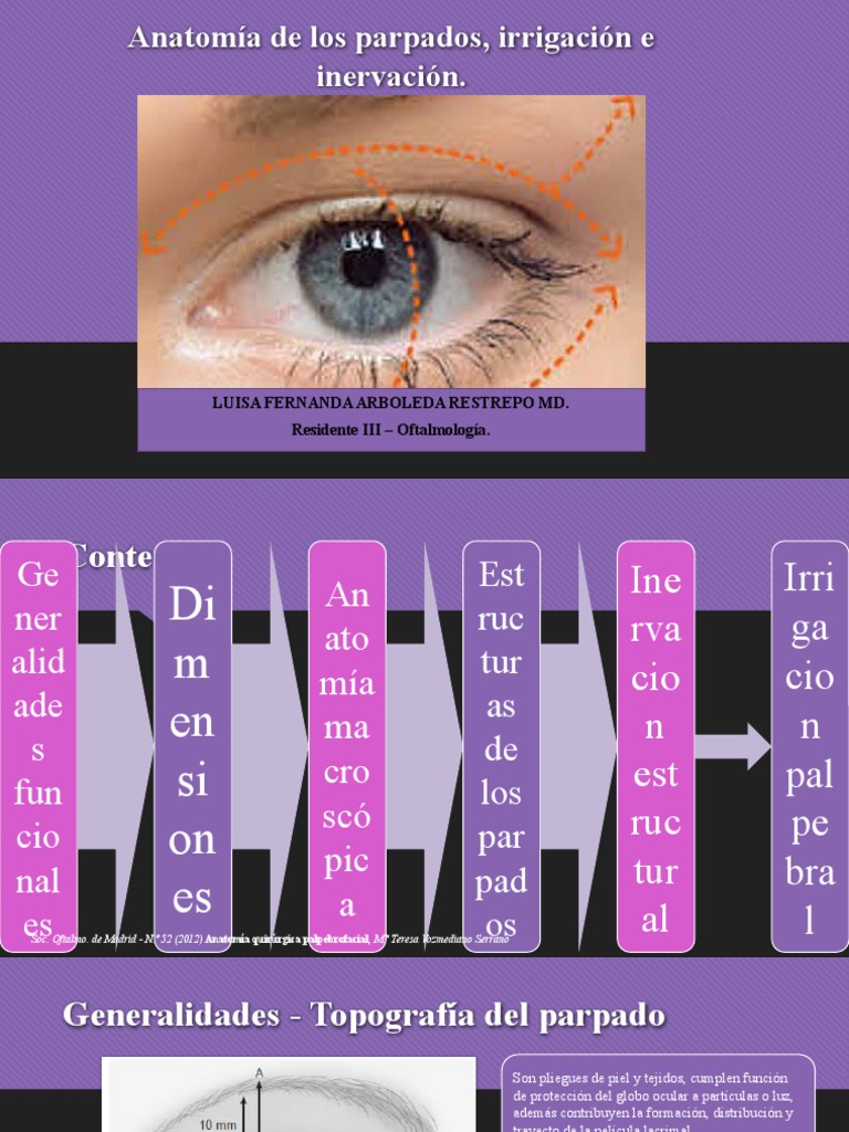 Anatomia de Los Parpados | Descargar gratis PDF | Anatomía | Anatomía ...
