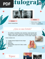 ANEXO TEMA 3 RODILLA-Fosa Intercondilea | PDF | Rodilla | Pelvis