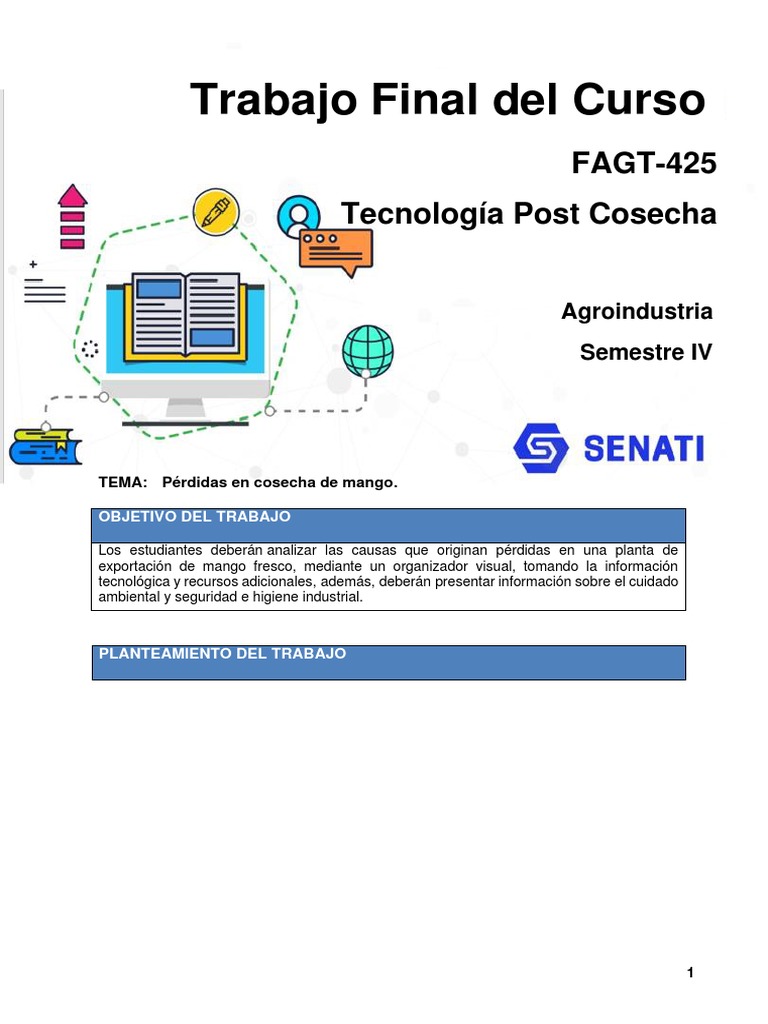 Fagt Fagt-425 Trabajofinal | PDF