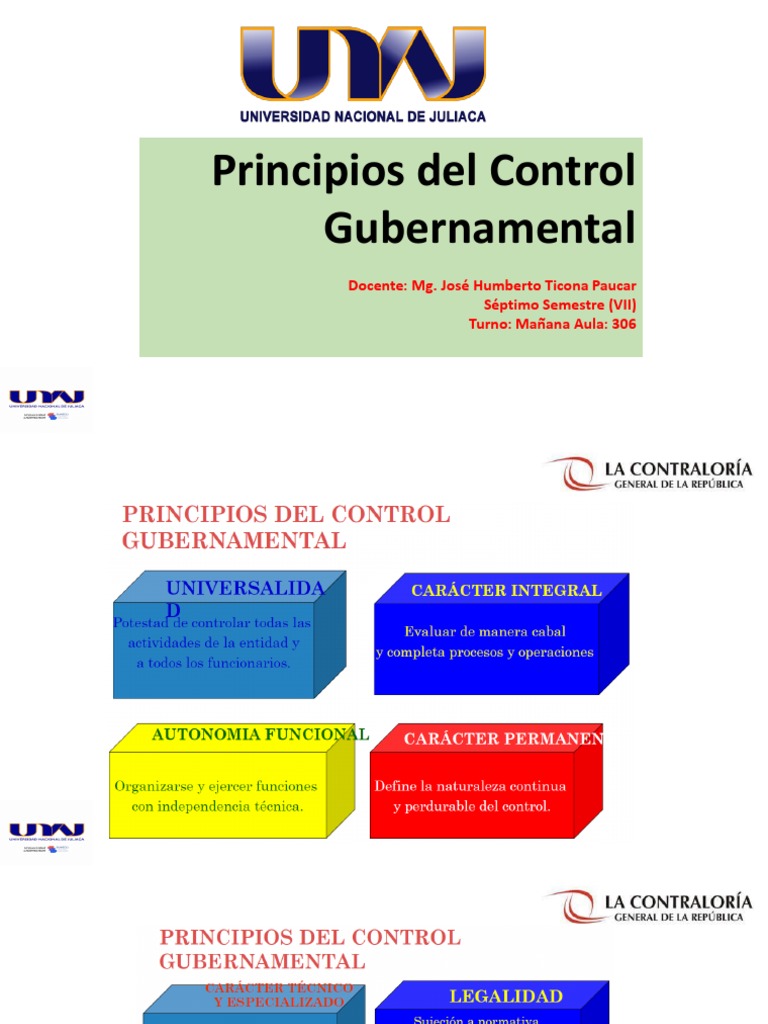 Principios Control Gubernamental | PDF