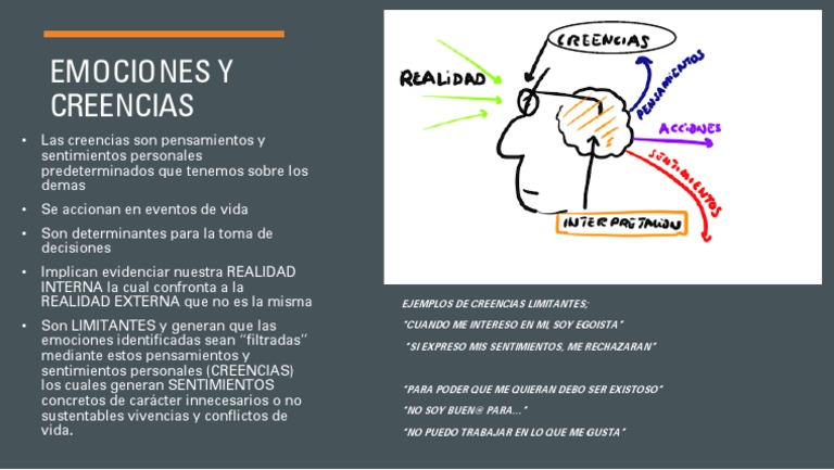 Creencias Y Emociones Pdf