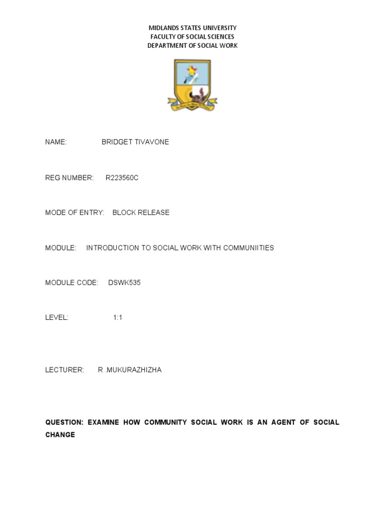 Community Social Work | PDF | Social Work | Community