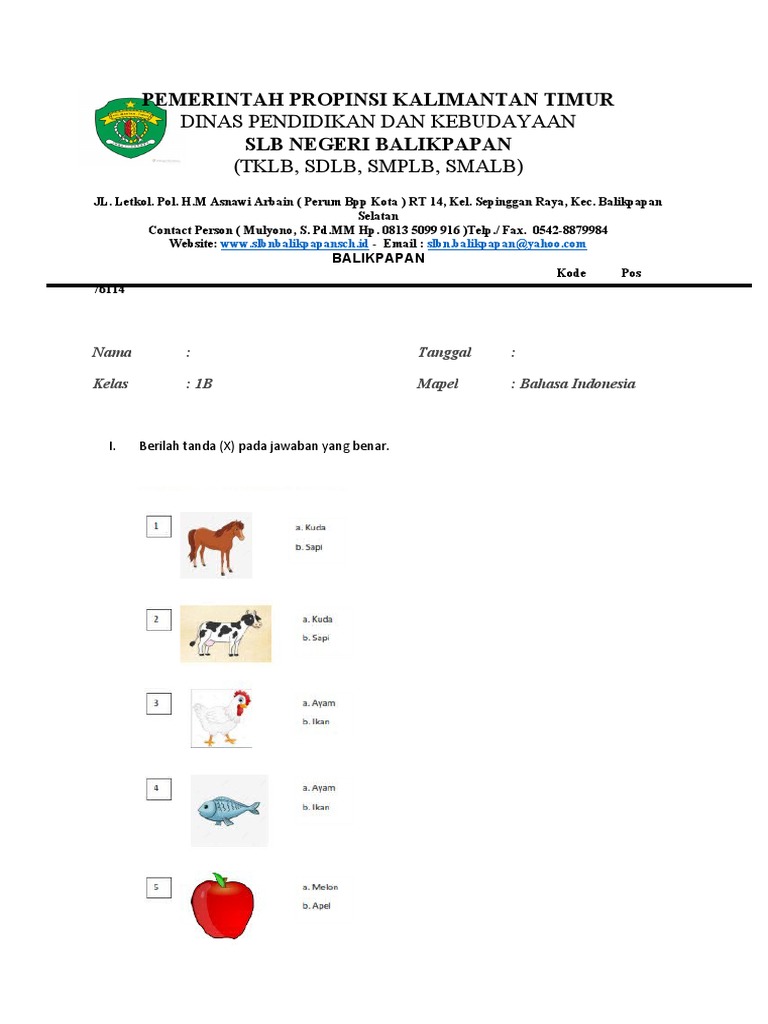 Soal Bahasa Indonesia Kelas 1 Tunarungu | PDF