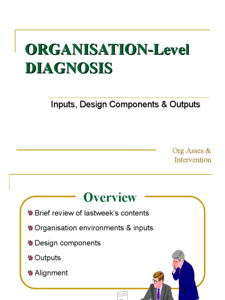 Organizational Diagnosis Overview | PDF | Information | System