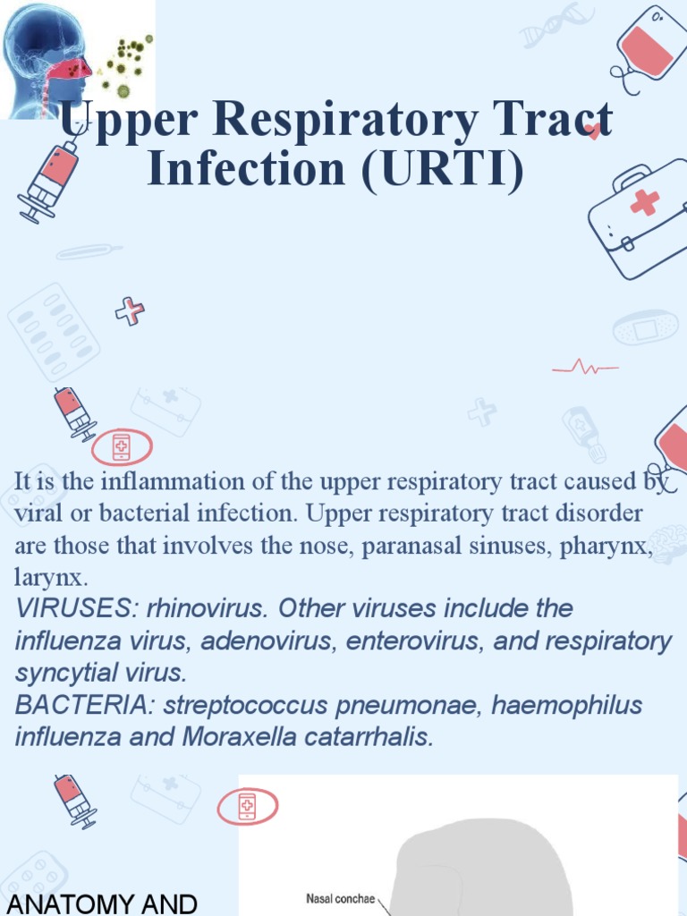 Upper Respiratory Tract Infection URTI - PPTX GROUP 2 BSN 3C | PDF ...