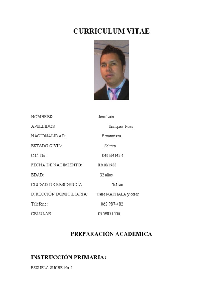 CURRICULUM VITAE José Luis | PDF