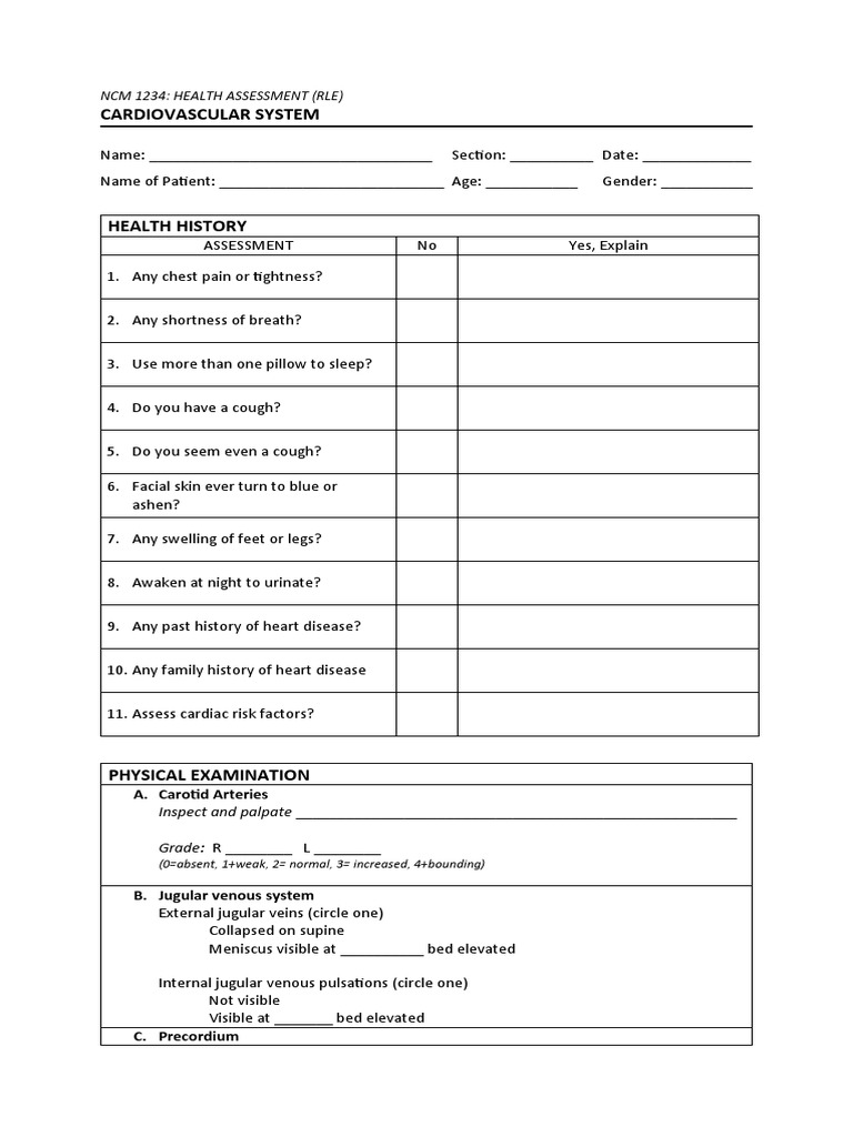 10 Cardiovascular System | PDF | Heart | Vein