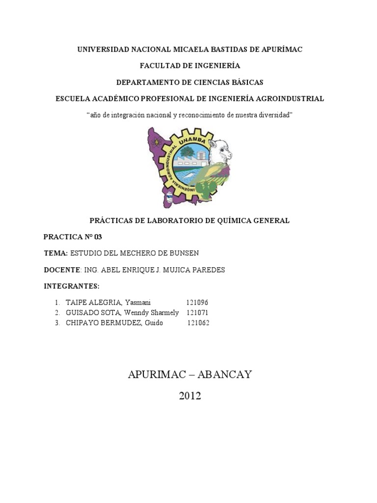 Universidad Nacional Micaela Bastidas de Apurimac | PDF