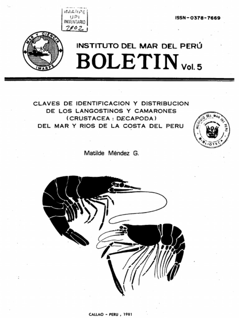 Claves de Identificación y Distribución de Los Langostinos y Camarones ...
