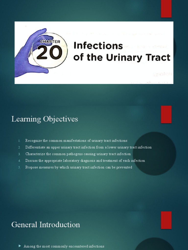 Chapter 20. Infections of The Urinary Tract | PDF