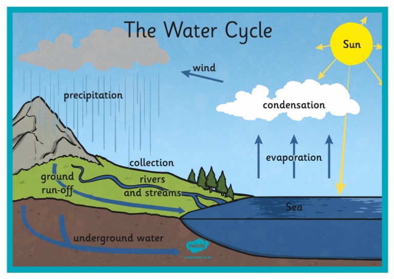 The Water Cycle Large Display Poster | PDF