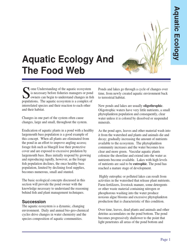 Aquatic Ecology and The Food Web | PDF | Food Web | Pond