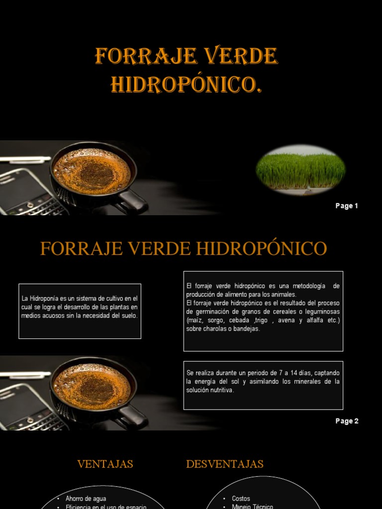 FVH - Exposición | PDF | Hidroponia | Cereales